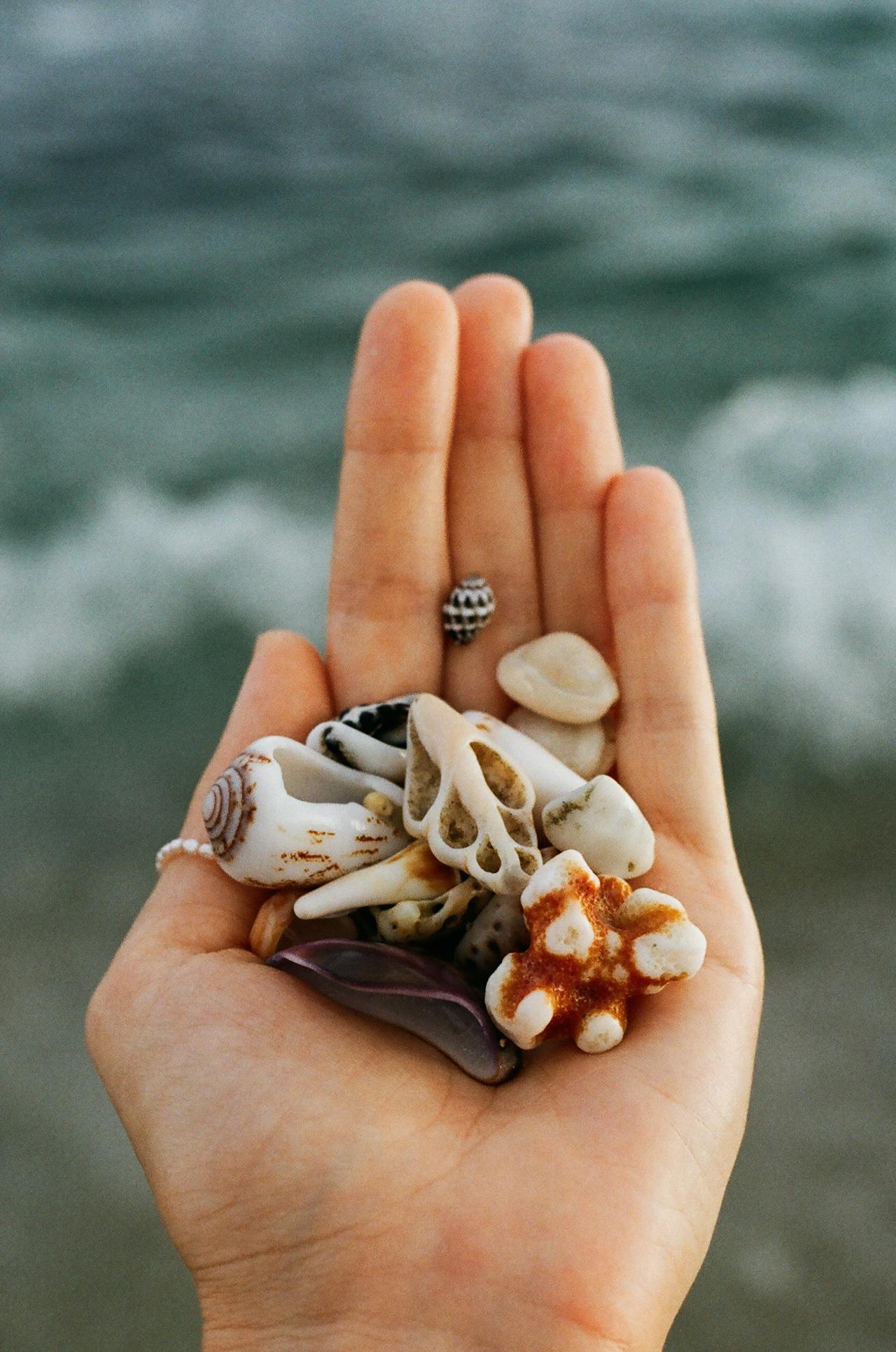 Beachcombing 101: What Treasures Await on the Shore? - Grande Cayman Resort